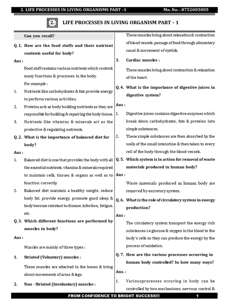 Life Process in Living Organism Part 1 | PDF | Cellular Respiration ...
