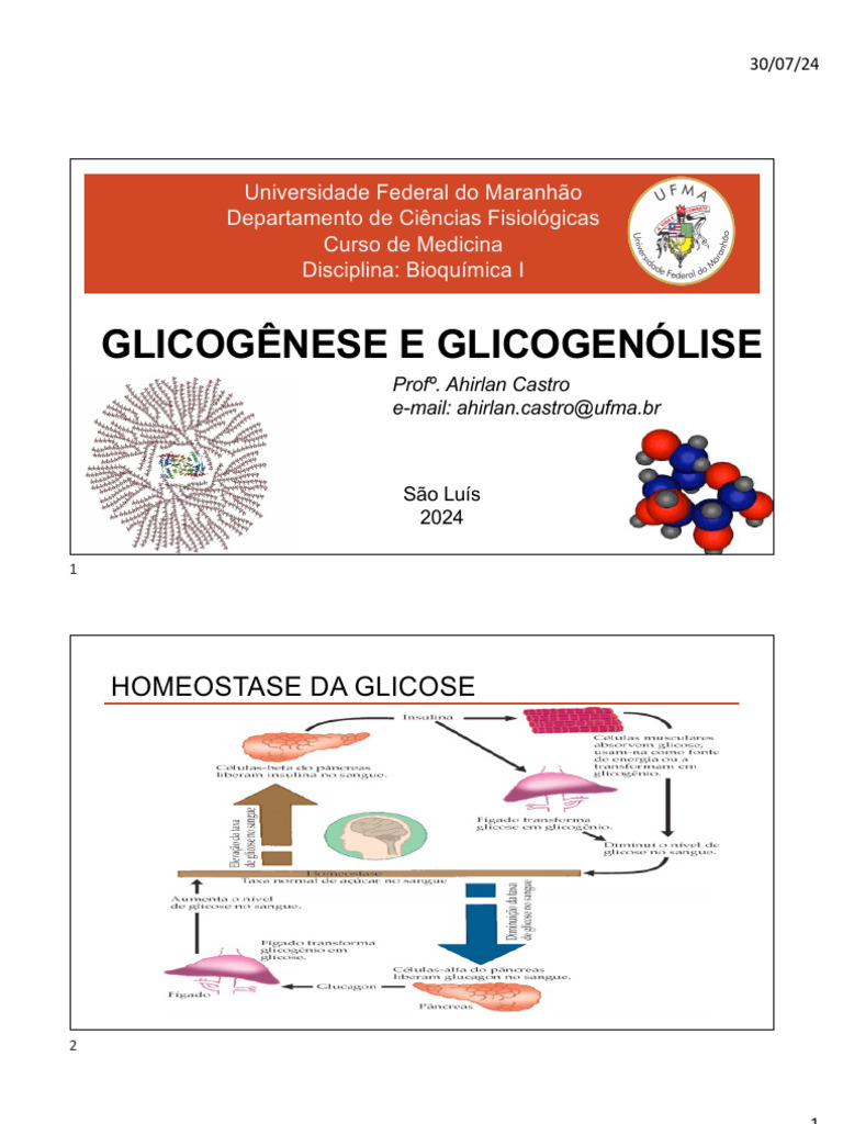 Metabolismo de Carboidratos - Glicogênese e Glicogenólise - Prof ...