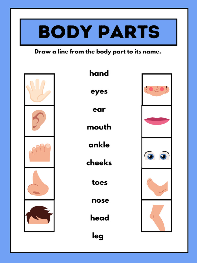 Body Parts Worksheet Bold Style Illustrative in Blue | PDF