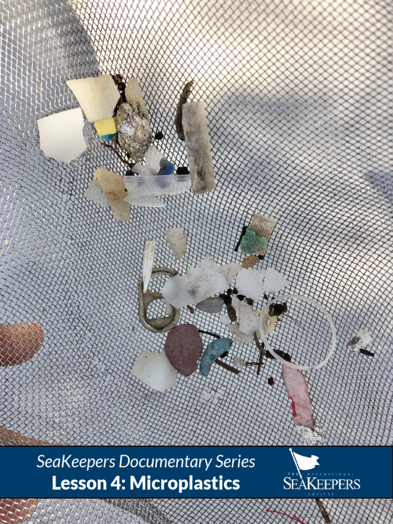 Episode 2 Lesson Plan 4 Microplastics | PDF | Plastic | Oceans
