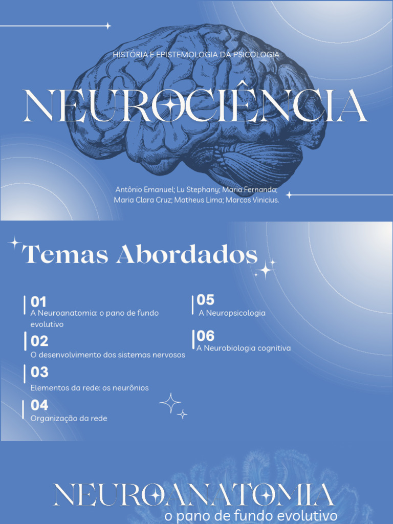 Neurociência | PDF | Córtex cerebral | Neurônio