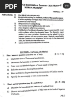 Mbbs Question Papers | PDF