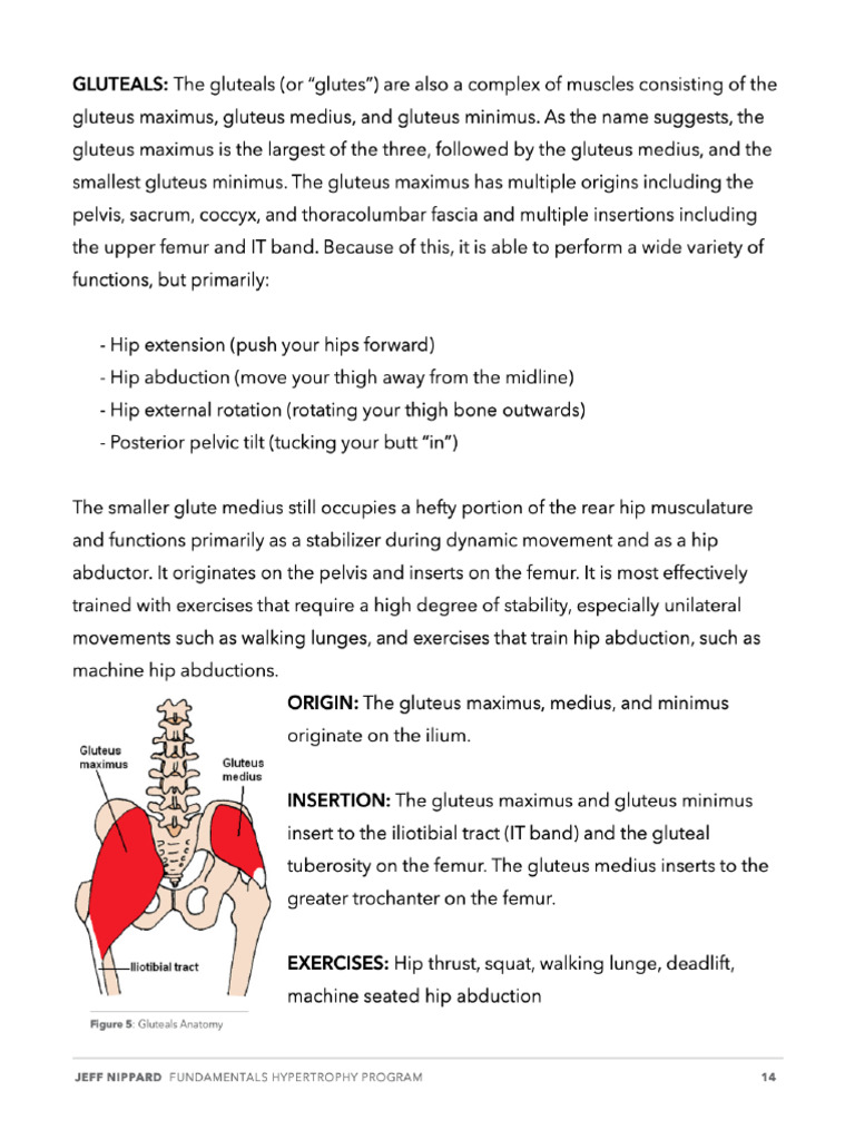 Jeff Nippard Hypertrophy Fundamentals Program (014 022) | PDF