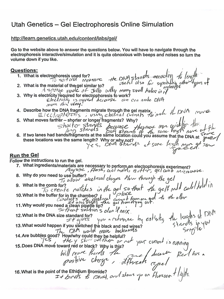 Genetics Simulation | PDF