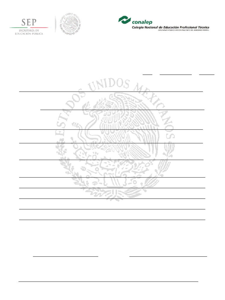 02 Informe de Actividades SS | PDF