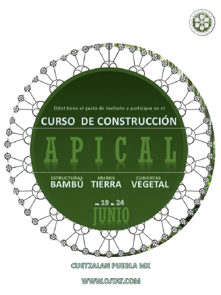 Introduccion APICAL | PDF