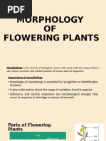 Morphology of Flowering Plants Annotated NCERT | PDF