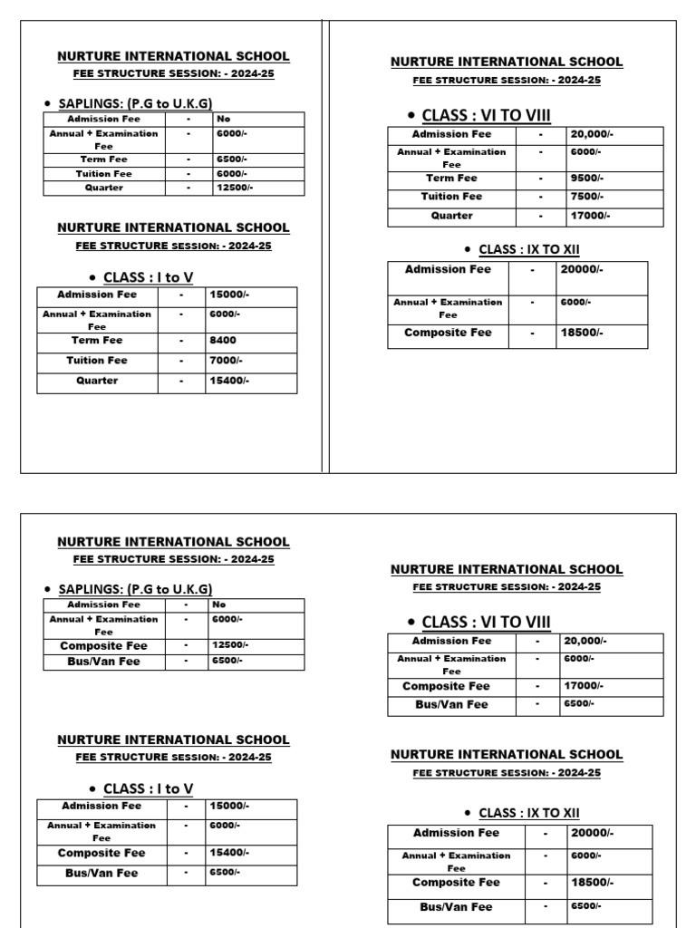 Nis - Fee Structure 2024 25 | PDF