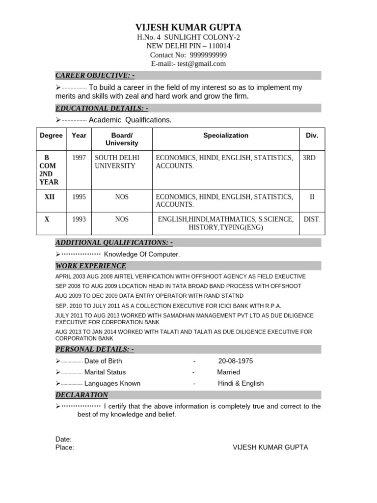 Field Boy Delivery Boy Resume Format Word 10 | PDF