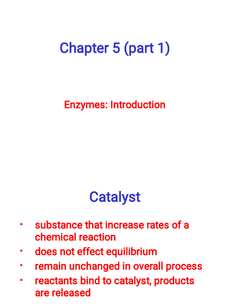 Chapter 5 (Part 1) | PDF