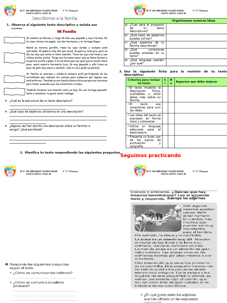 FICHA COM - Describimos A Mi Familia Usando Adjetivos 13.05.2025 | PDF ...