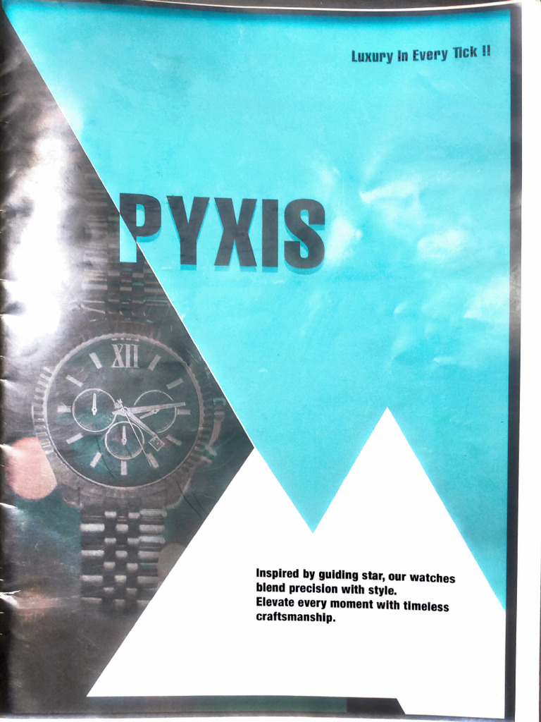 Pyxis Brand Identity and Design Overview | PDF | Brand | Logos
