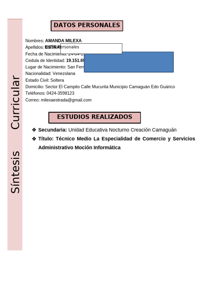 Datos Personales y Estudios de Amanda Estrada | PDF