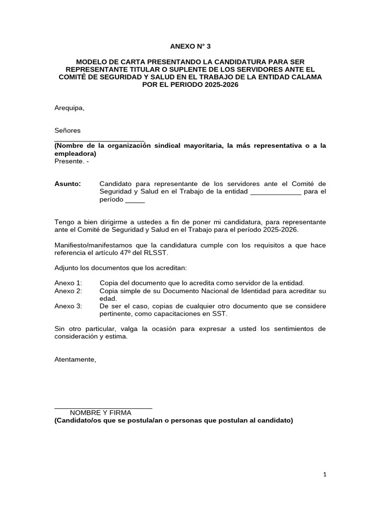 Anexo Nº 03 - Modelo de Carta de Presentación de Candidaturas (3) | PDF