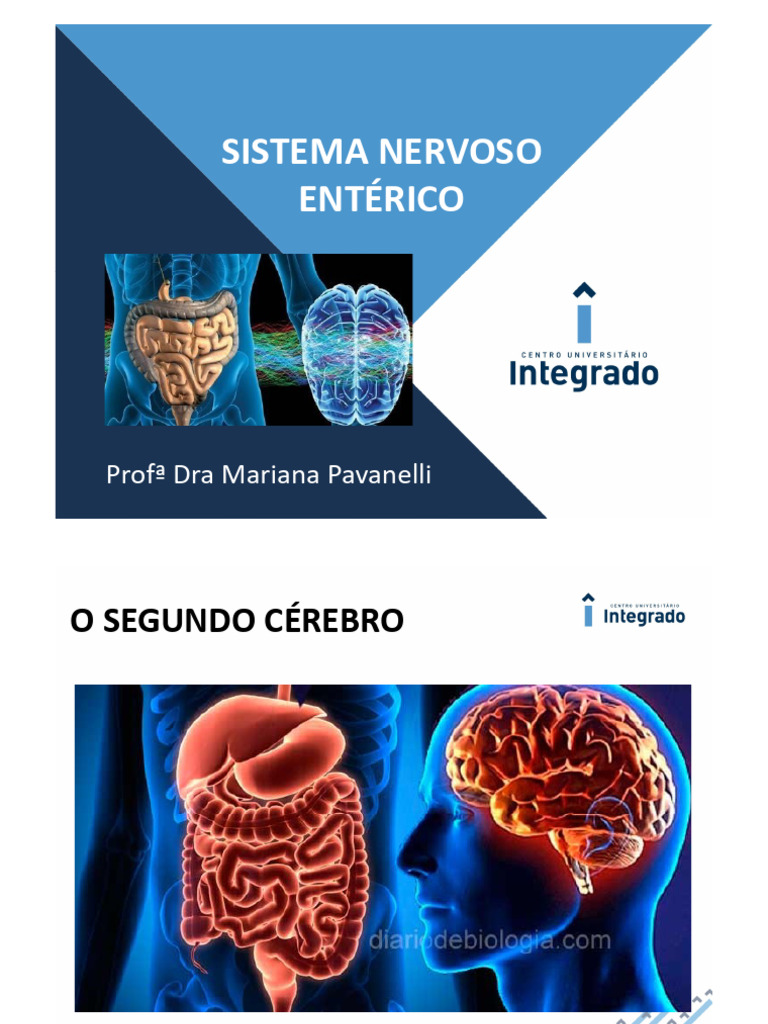 Aula SNE | PDF | Anatomia | Biologia