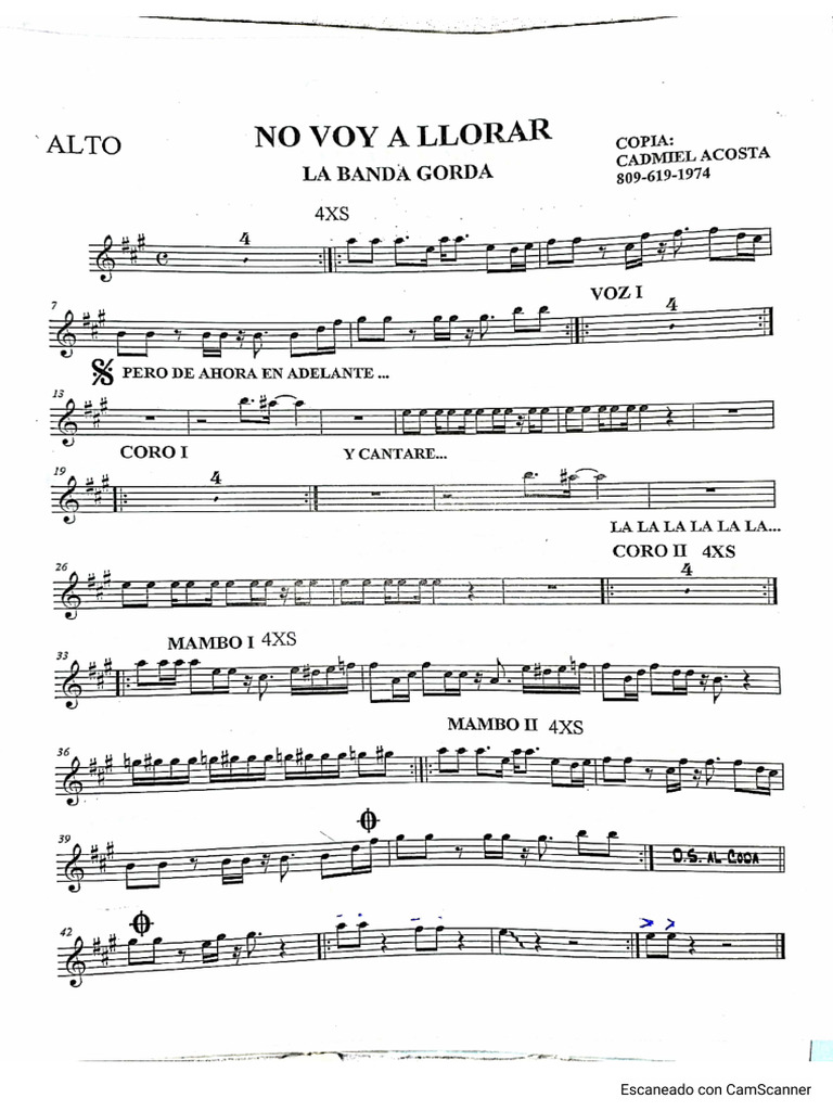 No Voy a Llorar - Banda Gorda | PDF