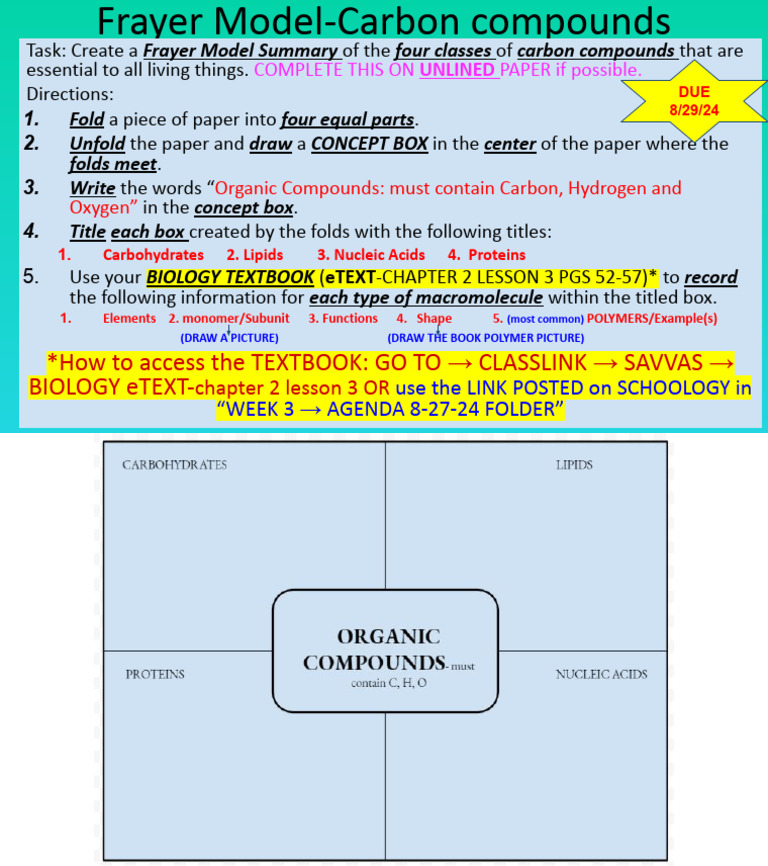 Frayer+Model +Carbon+Compounds Directions+ | PDF