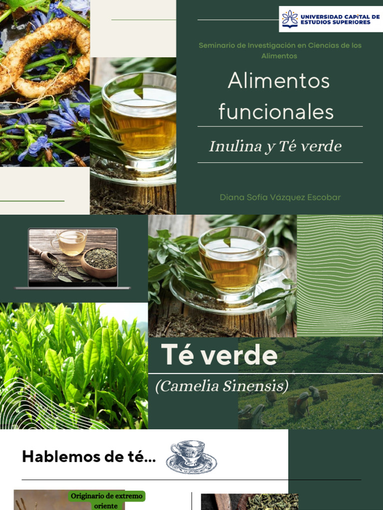 Presentación Sobre Lineamientos de Marca Verde Beige Líneas ...