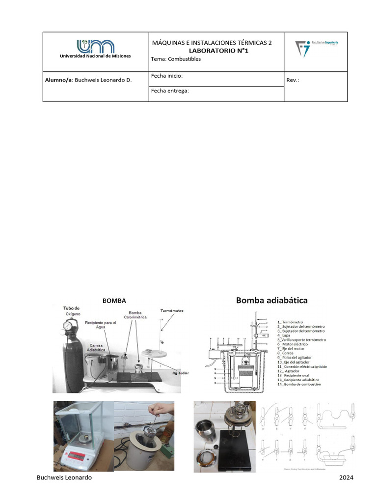 Lab Poder Calorifico Buchweis Leonardo | PDF | Combustión | Combustibles