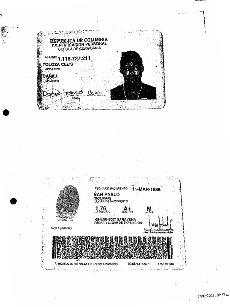 Páginas Desdehoja de Vida Daniel Toloza | PDF