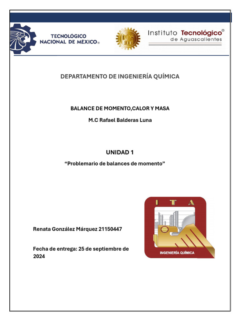 U1 BM Problemario | PDF