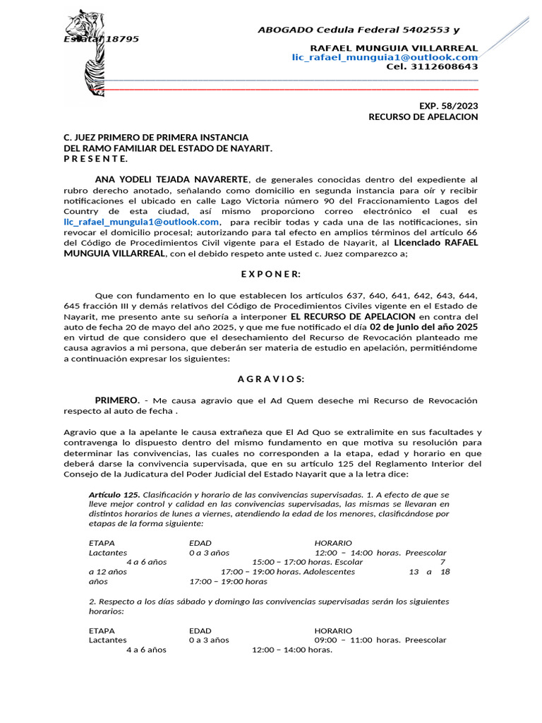 Recurso Apelacion Ana Yodeli | PDF | Apelación | Caso de ley