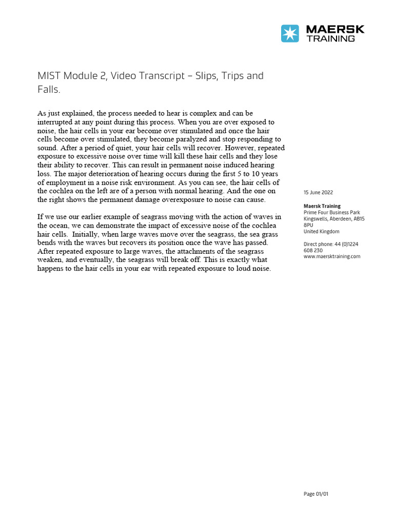 Slips, Trips & Falls - Video Transcript | PDF