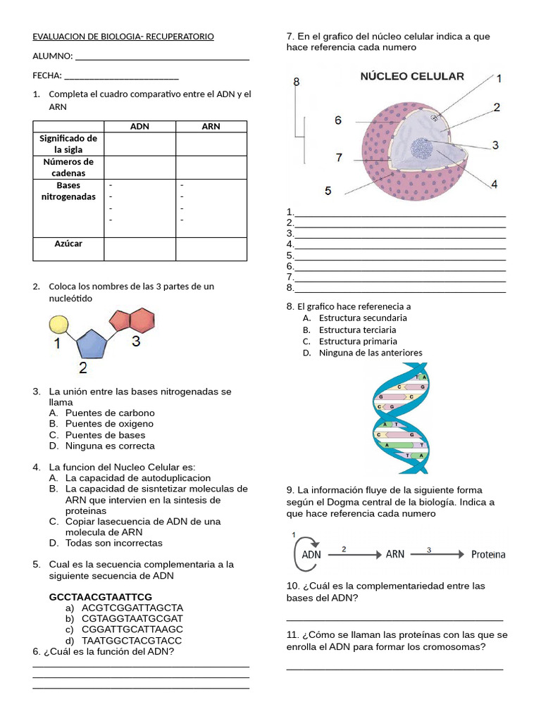 Evaluac. de Biol. Recuperat - Adn | PDF | Adn | Rna