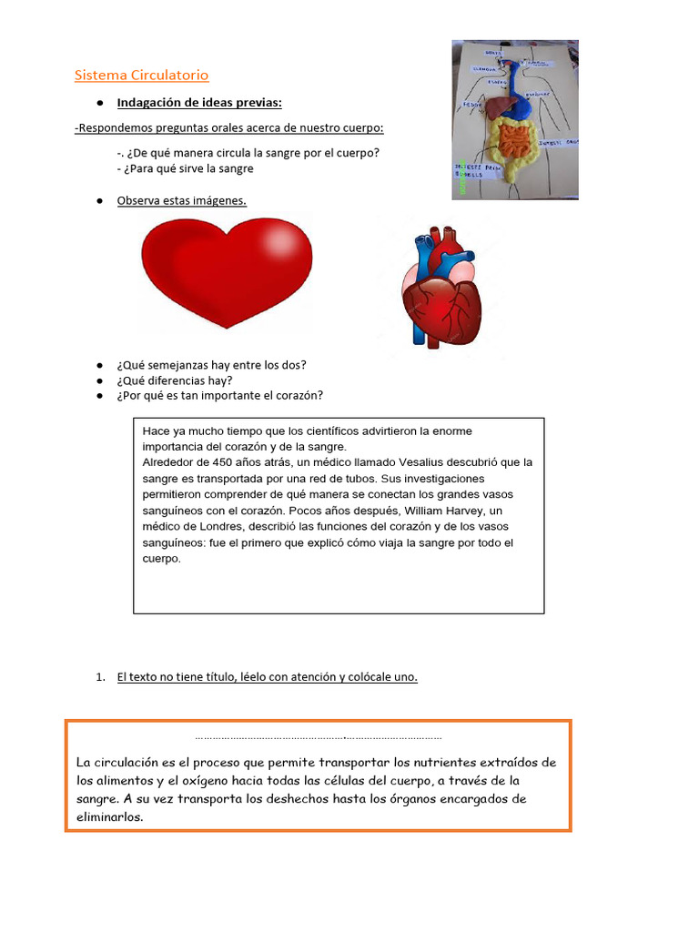 Sistema Circulatorio 5° | PDF | Sistema circulatorio | Corazón