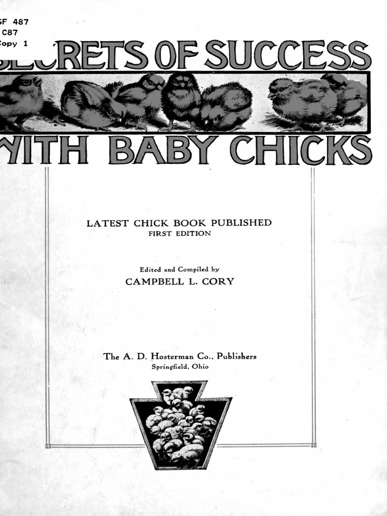 Secrets of Success With Baby Chicks | PDF | Egg | Birds