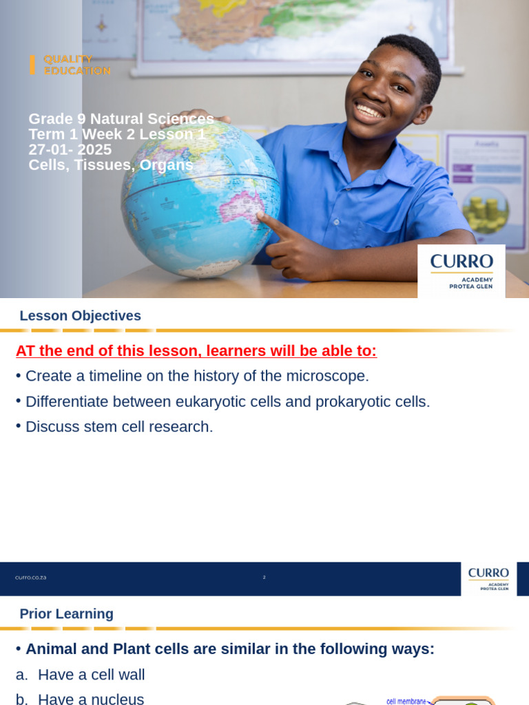 GRD 9. Natural Sciences Term 1 Week 2 | PDF | Microscope | Cell (Biology)