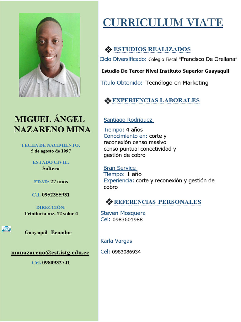 Curriculum Miguel Mina | PDF