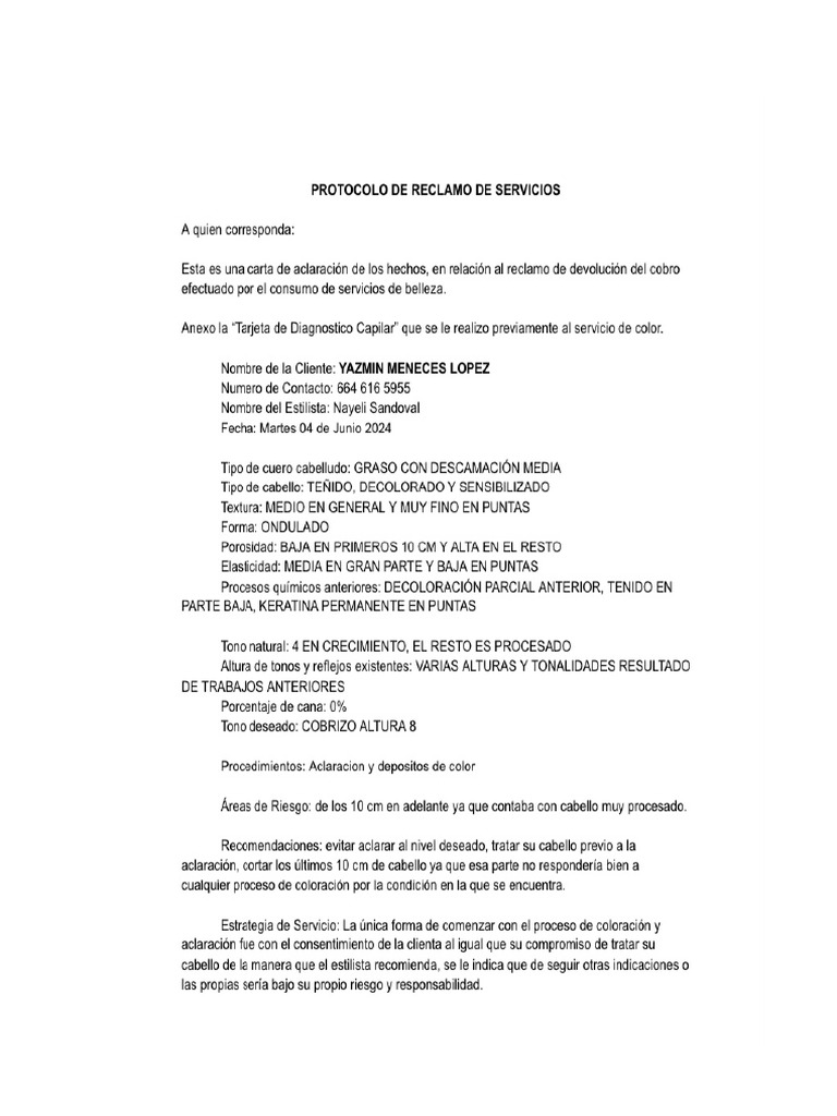 Protocolo De Servicios | PDF