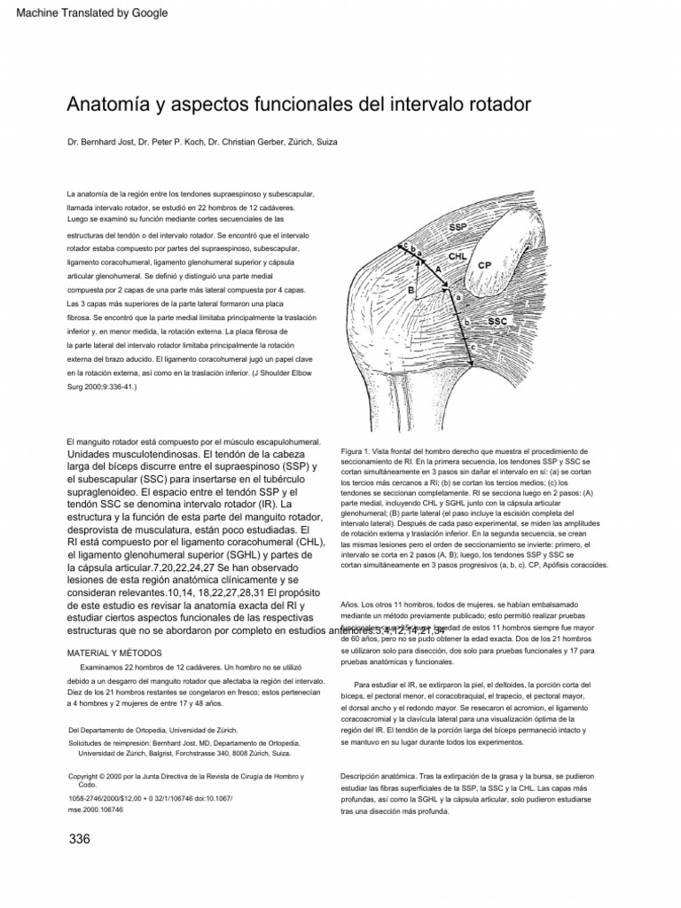 Intervalo Rotador | PDF | Hombro | Sistema musculoesquelético