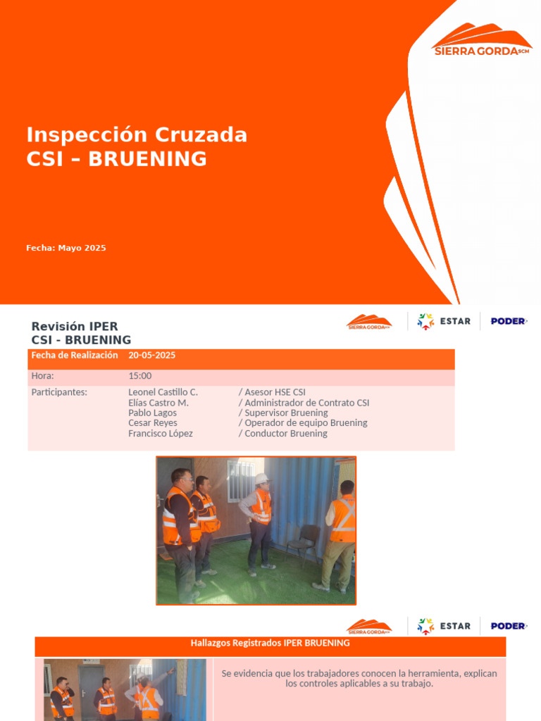 Inspeccio Cruzada CSI-Bruening | PDF