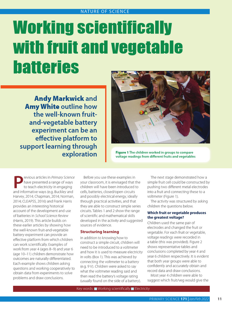 Fruit and Vegetable Battery Experiments | PDF | Voltage | Electricity
