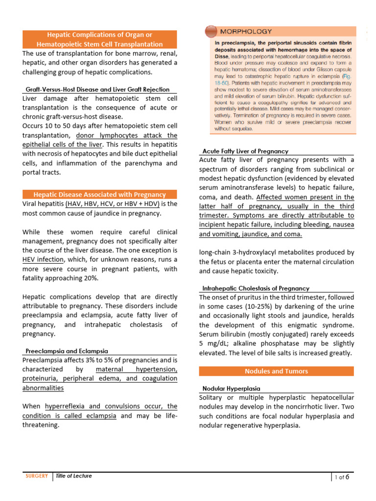 Liver and Gallbladder 1.3 | PDF | Gallbladder | Liver