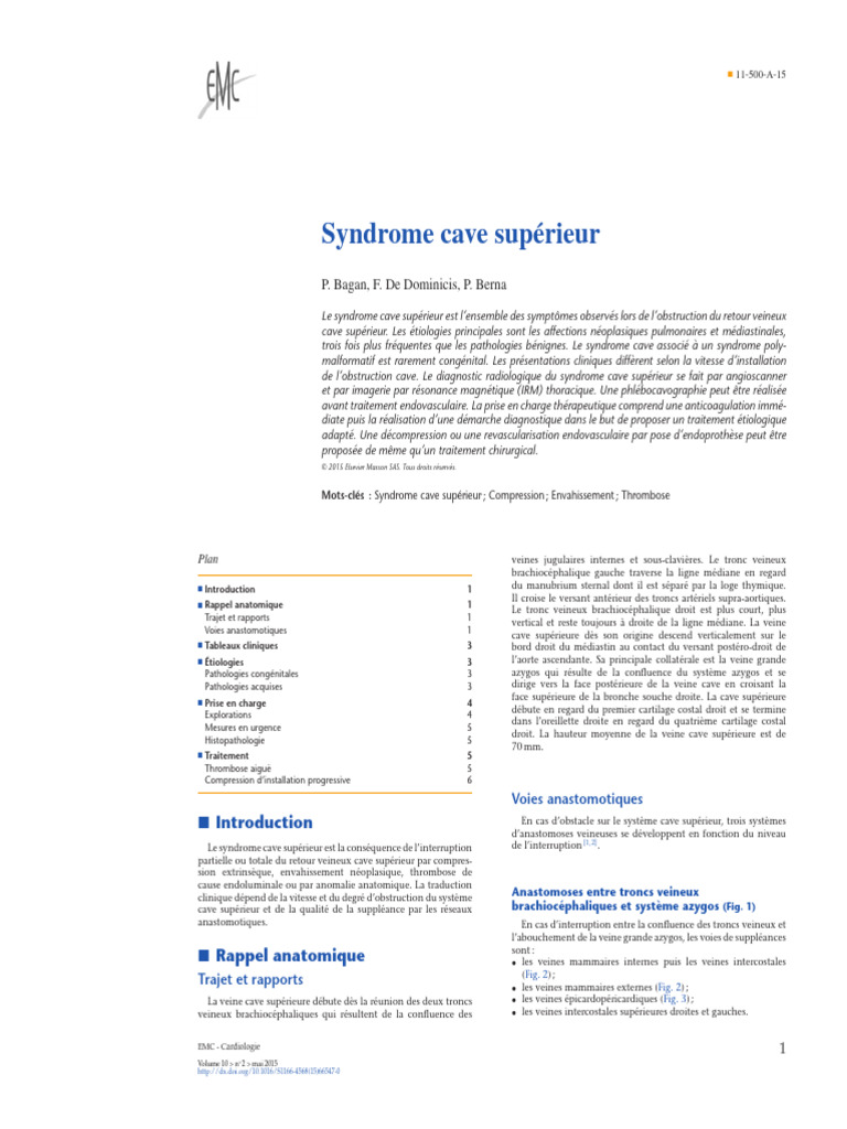 Syndrome cave supérieur : diagnostic et traitement | PDF | Maladies et ...