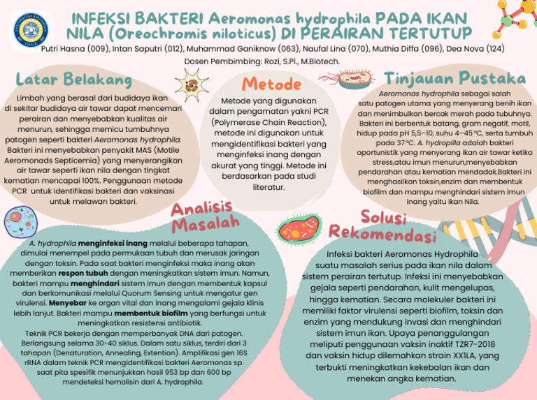 Infeksi Bakteri Aeromonas Hydrophila Pada Ikan Nila (Oreochromis Niloticus) Di Perairan Tertutup ...