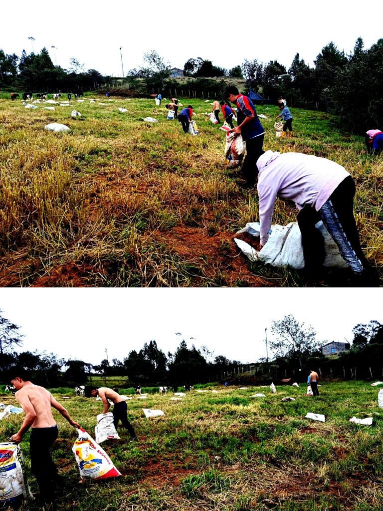 PDFReader 20250520 1327 | PDF