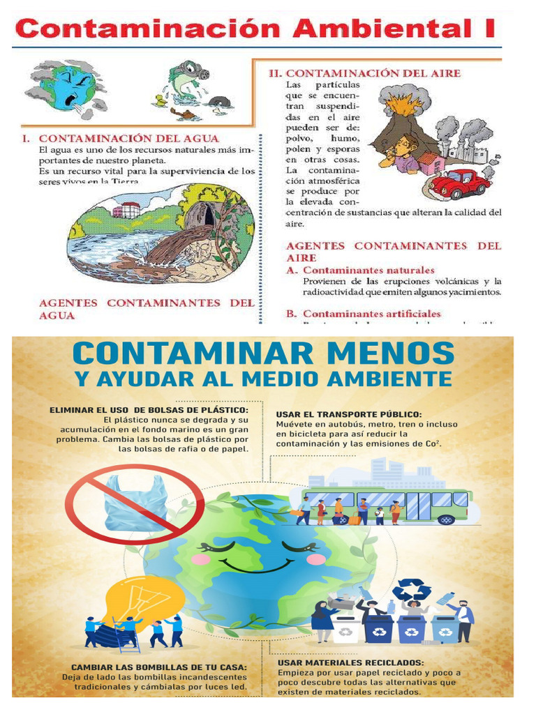 Infografias Sobre Contaminacion Ambiental - Quinto Grago | PDF