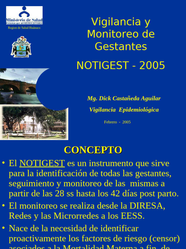 Monitoreo de Gestantes y Mortalidad Materna | PDF | Muerte materna