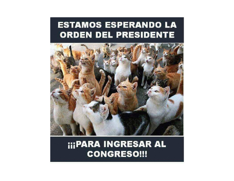 Meme Congreso | PDF