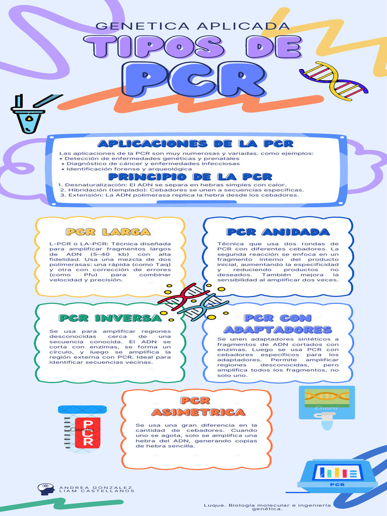 Tipos de PCR y sus aplicaciones | PDF | Reacción en cadena de la ...