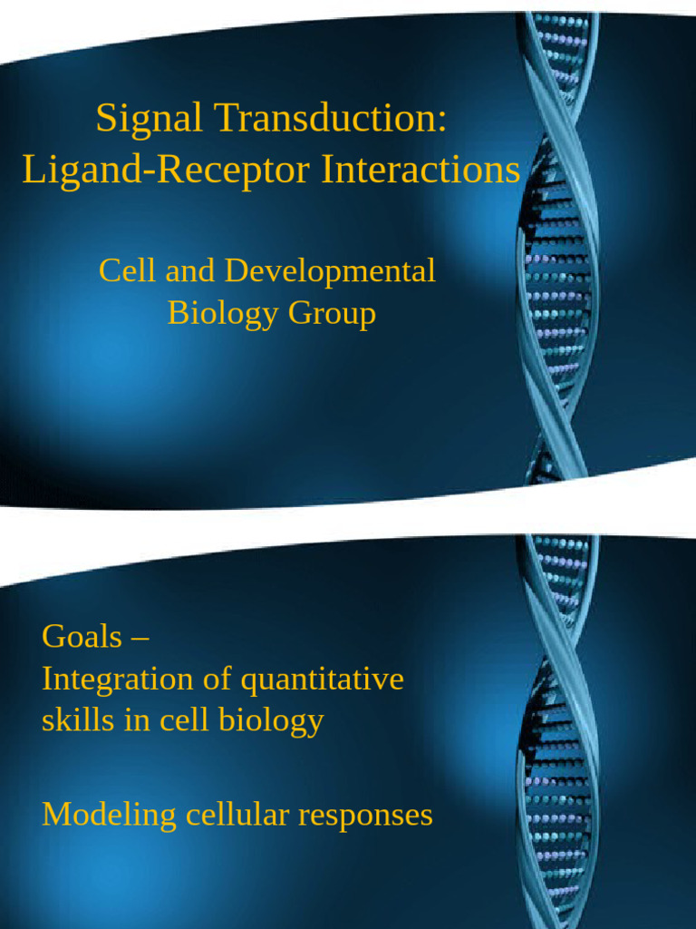 Signal Transduction Ligand-Receptor Interactions Northwest 2011 | PDF ...
