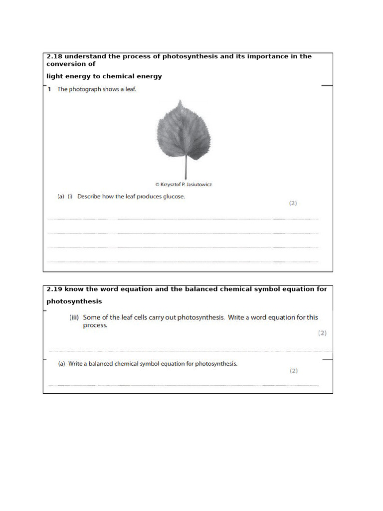 Photosynthesis Exam Qs | PDF