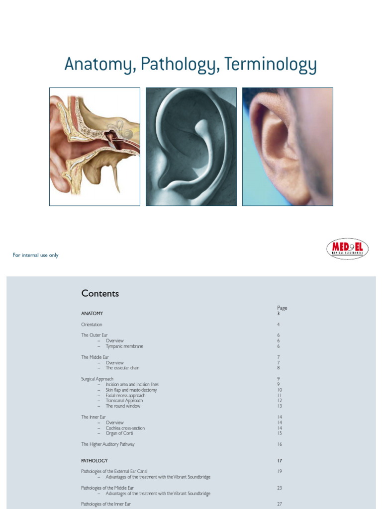 Anatomy Pathology Terminology Booklet | PDF | Auditory System | Hearing