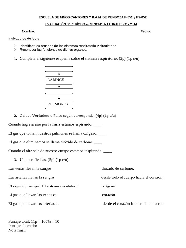 Evaluacion resp y circ - 2014 (1) | PDF