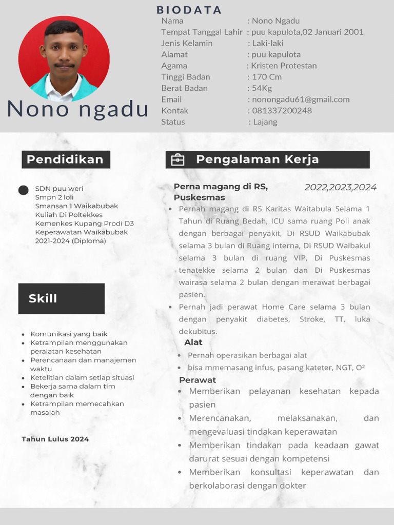 CV Kerja Nono Ngadu | PDF