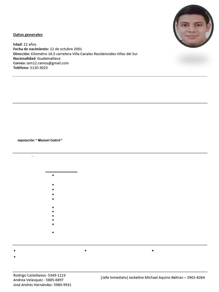 Ian CV | PDF | Informática